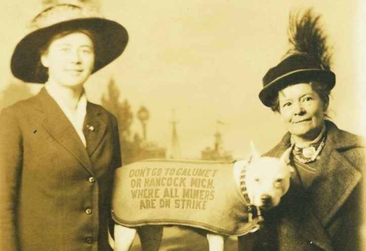 ‘Anna Clemence: The Story of a Militant Working Class Woman’ by Ella ...